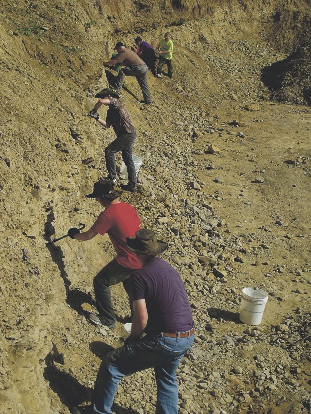 How are geodes formed? | News, Sports, Jobs - Times Observer